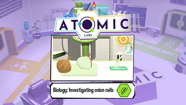 How to observe cells under a microscope - Living organisms - KS3 ...