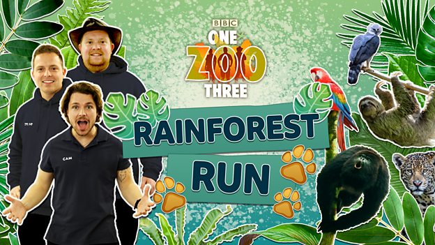One Zoo Three: Rainforest Run Game | Free educational and fun children ...