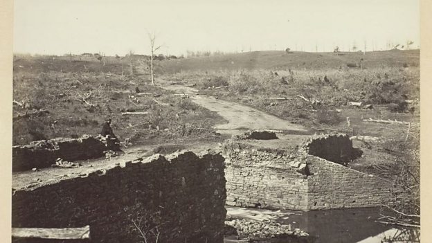 Witness Trees: The trees that watched history unfold around them - BBC ...