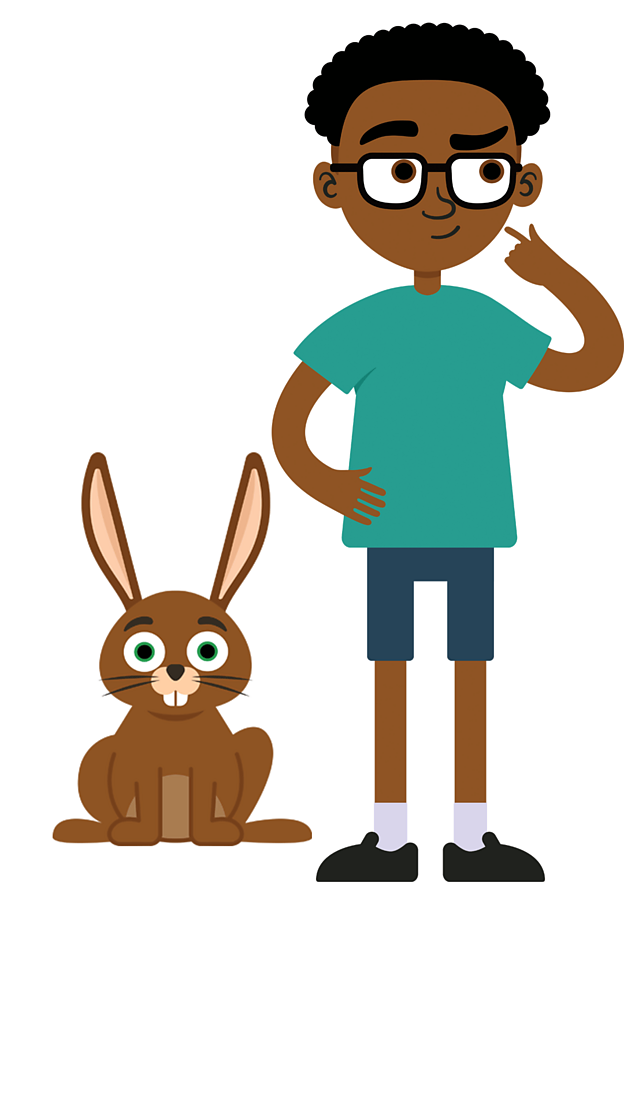 What are verbs? - BBC Bitesize