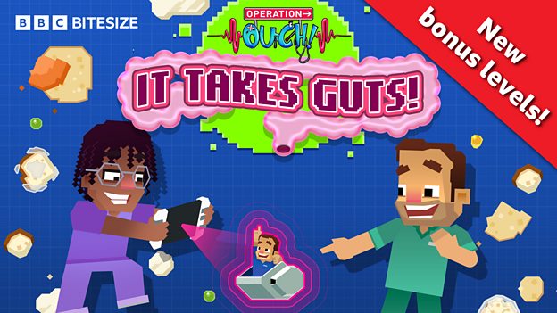 Fun online KS1 and KS2 science games for kids - BBC Bitesize