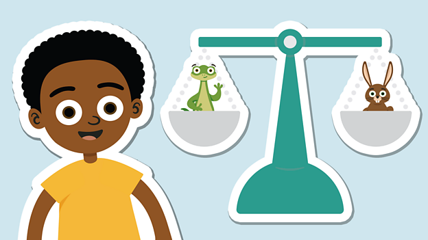 KS2 Maths - BBC Bitesize