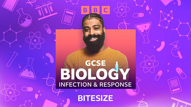 Podcasts - GCSE Biology (Single Science) - BBC Bitesize
