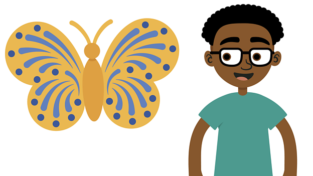 Verbs and the different tenses - BBC Bitesize