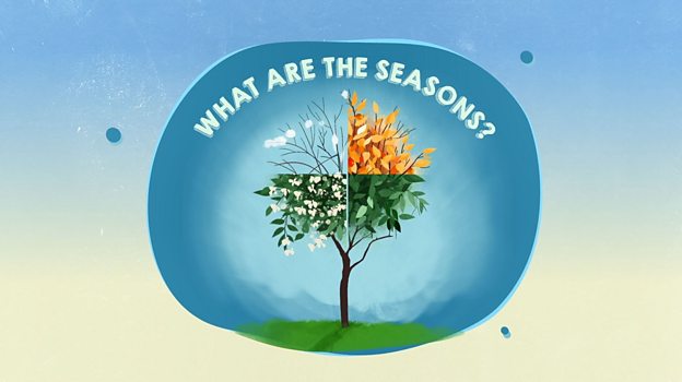 Seasons: What causes the seasons? - BBC Teach