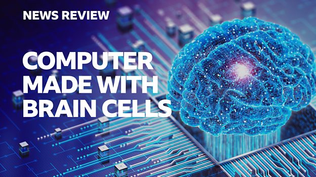 BBC Learning English - Course: News Review / Unit 1