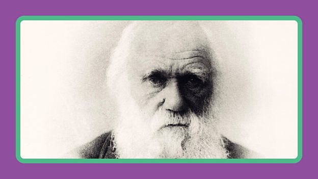 What is evolution? – KS2 Science curriculum - BBC Bitesize