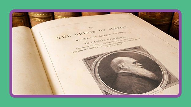 What is evolution? – KS2 Science curriculum - BBC Bitesize