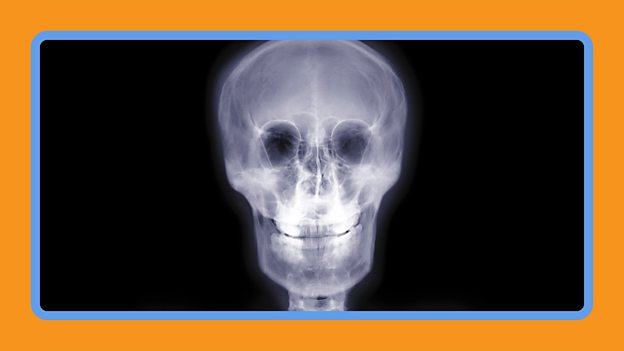 What are the parts of the human body? - KS1 Science curriculum - BBC ...