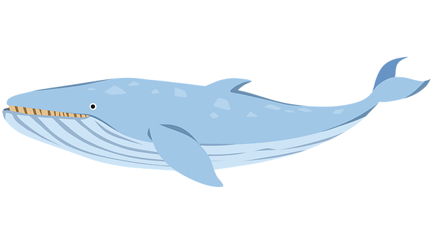 What are mammals? KS1 Science curriculum - BBC Bitesize