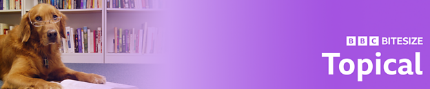 Patterns, passwords and chart positions: Can you solve these six sneaky ...