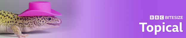 Can you answer these history inspired quiz questions? - BBC Bitesize