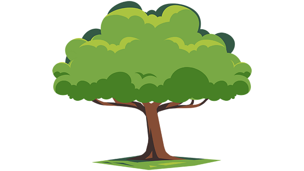 The structure of flowering plants - KS2 Science curriculum - BBC Bitesize