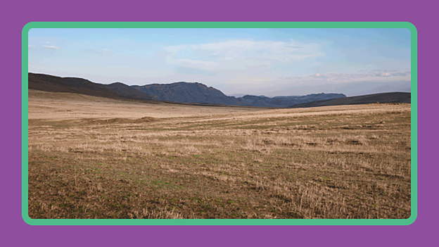 What is a desert habitat? – KS1 Science curriculum - BBC Bitesize