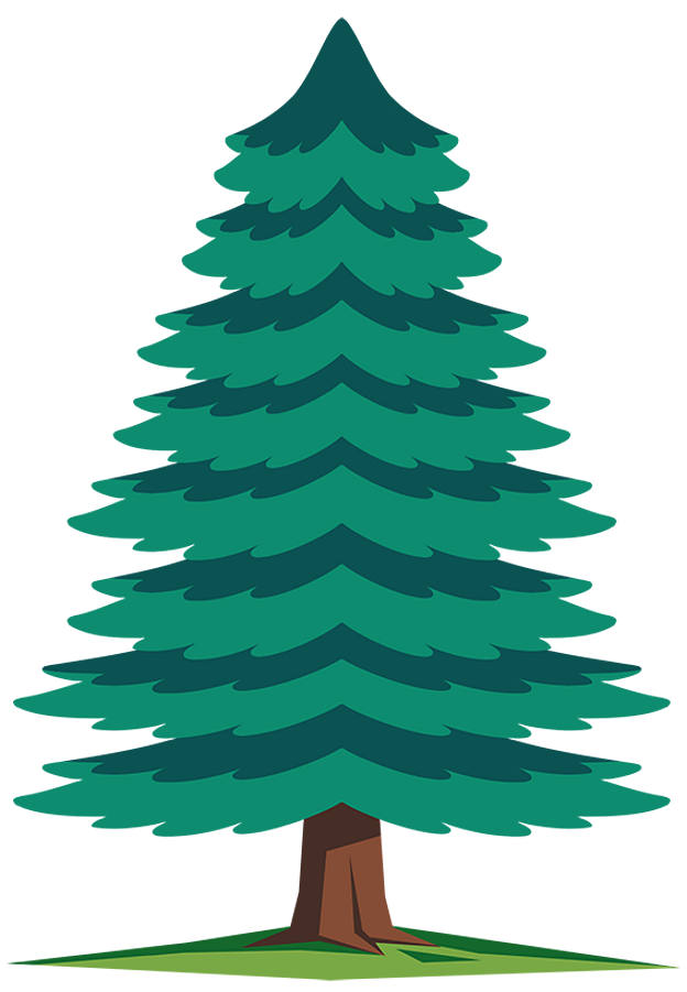 The parts of a plant – KS1 Science curriculum - BBC Bitesize