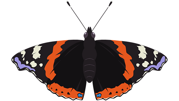 How do animals grow? - KS1 Science curriculum - BBC Bitesize