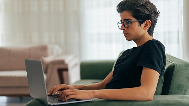 GCSE and secondary resources for KS3 and KS4 - BBC Bitesize