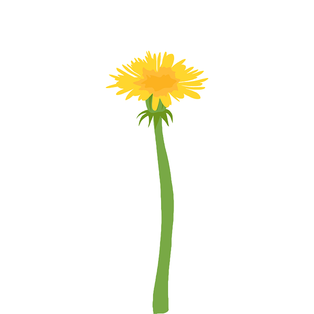 Why are plants important? – KS2 Science curriculum - BBC Bitesize