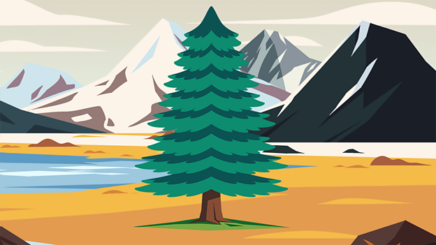 What does a plant need to grow? – KS1 Science curriculum - BBC Bitesize