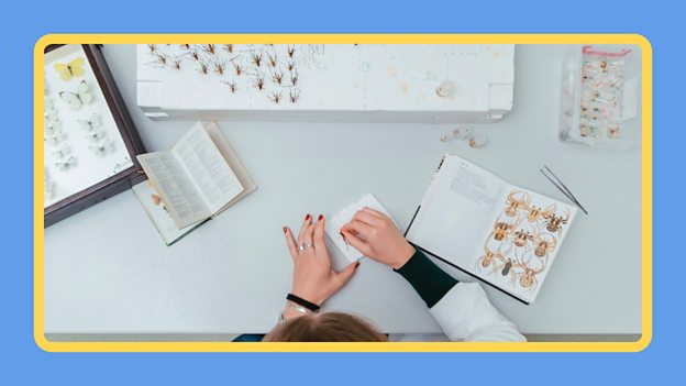 What is science? – KS1 Science curriculum - BBC Bitesize