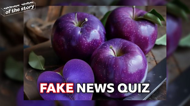 Quiz: What is fake news? - BBC Bitesize