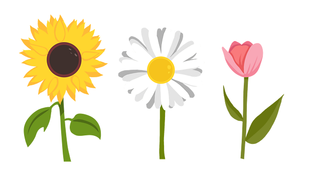 Pollination and seed spreading – KS2 Science curriculum - BBC Bitesize