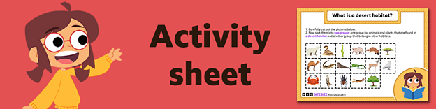 What is a desert habitat? – KS1 Science curriculum - BBC Bitesize
