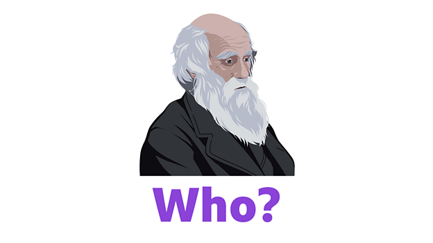 Why do scientists ask questions? – KS1 Science curriculum - BBC Bitesize