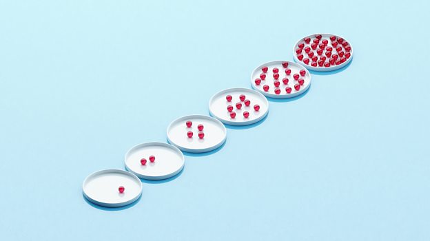 Number - GCSE Maths - BBC Bitesize