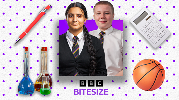 How to help your child choose their 2025 GCSE or Nationals options ...