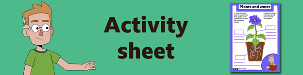 Plants and water - KS2 Science curriculum - BBC Bitesize