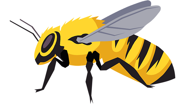 Pollination and seed spreading – KS2 Science curriculum - BBC Bitesize