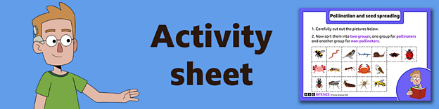 Pollination and seed spreading – KS2 Science curriculum - BBC Bitesize