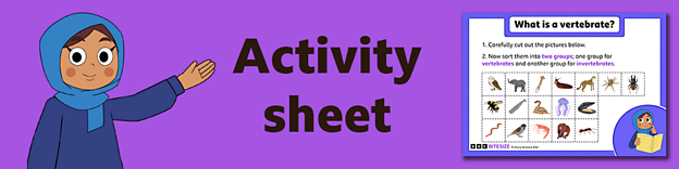 What is a vertebrate? – KS2 Science curriculum - BBC Bitesize