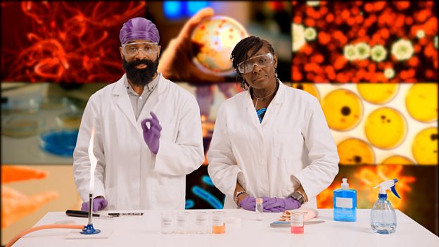 Biology practicals - GCSE Combined Science - BBC Bitesize