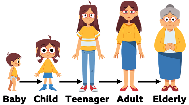 How do animals grow? - KS1 Science curriculum - BBC Bitesize