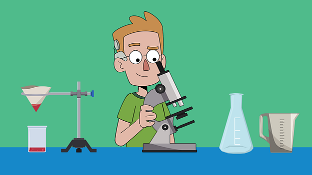 Working scientifically - KS2 Science - BBC Bitesize