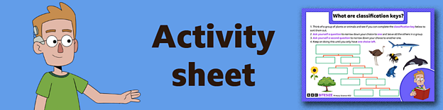 What are classification keys? – KS2 Science curriculum - BBC Bitesize