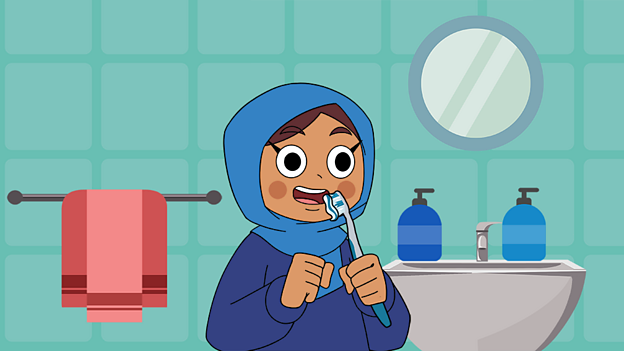 Teeth – KS2 Science curriculum - BBC Bitesize