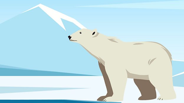 What is adaptation? – KS2 Science curriculum - BBC Bitesize