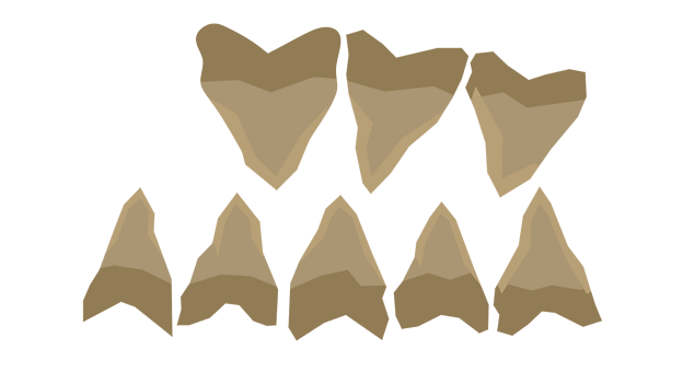 What can fossils tell us? – KS2 Science curriculum - BBC Bitesize