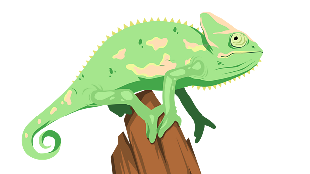 What is adaptation? – KS2 Science curriculum - BBC Bitesize