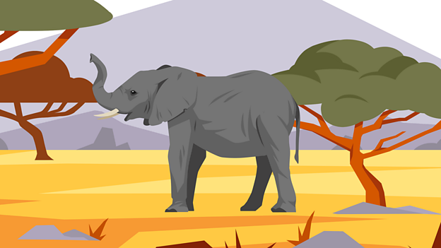 What is adaptation? – KS2 Science curriculum - BBC Bitesize