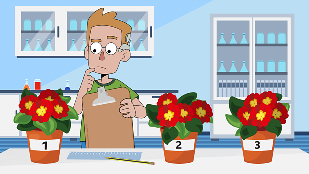 Working scientifically - Year 6 Science - BBC Bitesize