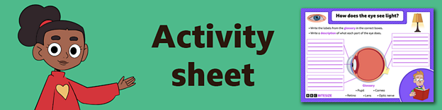 How does the eye detect light? – KS2 Science curriculum - BBC Bitesize