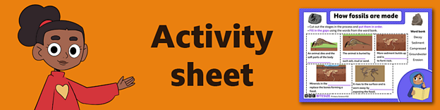 What can fossils tell us? – KS2 Science curriculum - BBC Bitesize