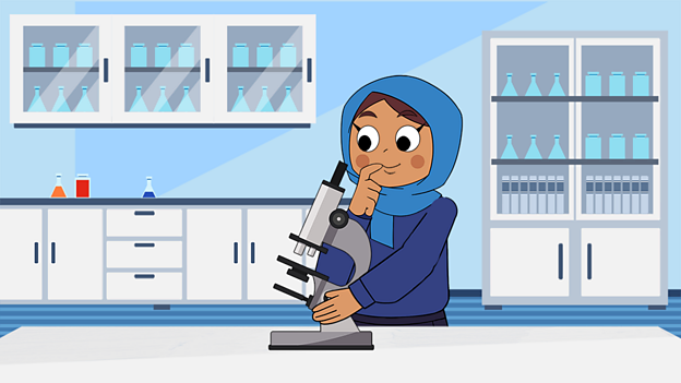 What is a microorganism? – KS2 Science curriculum - BBC Bitesize