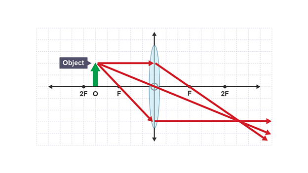 What are the different types of lenses? - BBC Bitesize