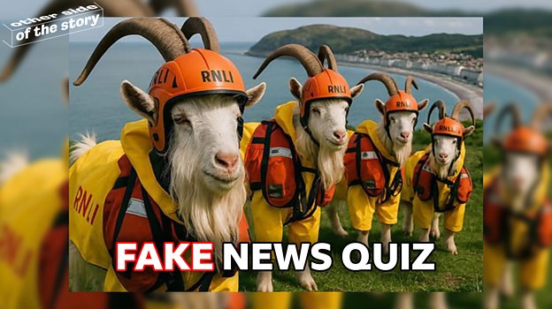 Quiz: Artificial intelligence or real? - BBC Bitesize