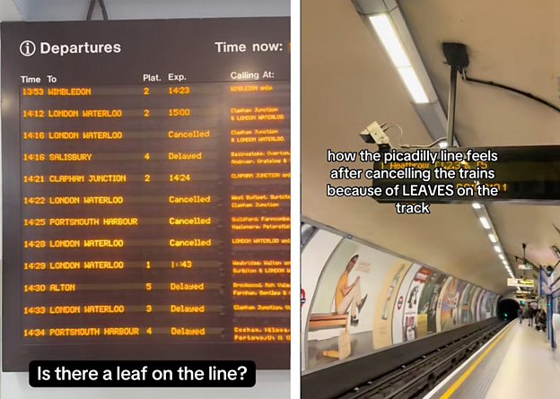 Do leaves on tracks cause train delays? - BBC Bitesize